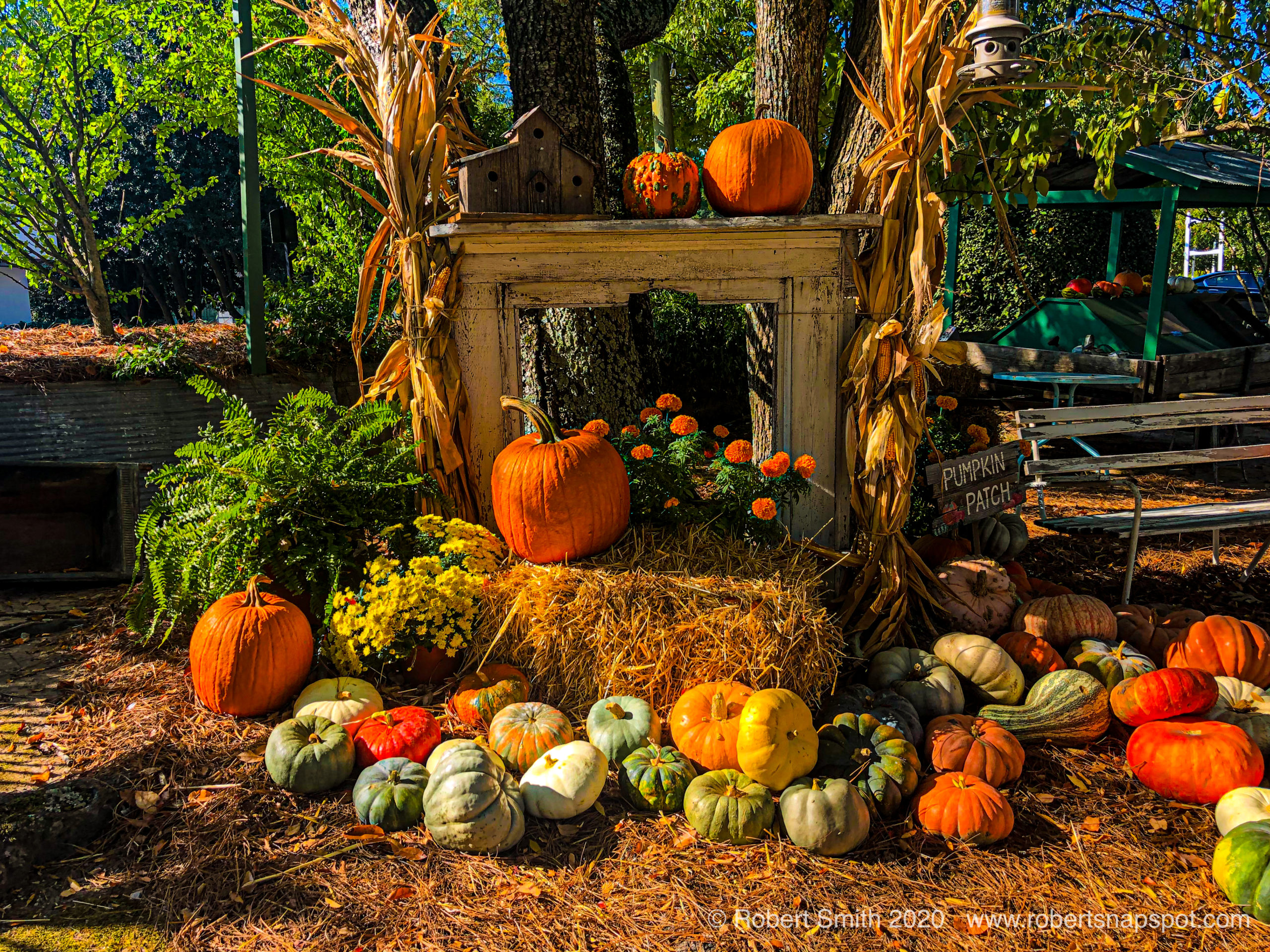 Harvest Scenes – Robert's Snap Spot