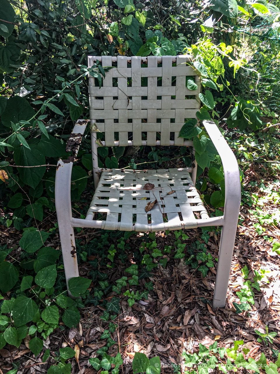 Six Chairs on Saturday – Robert's Snap Spot