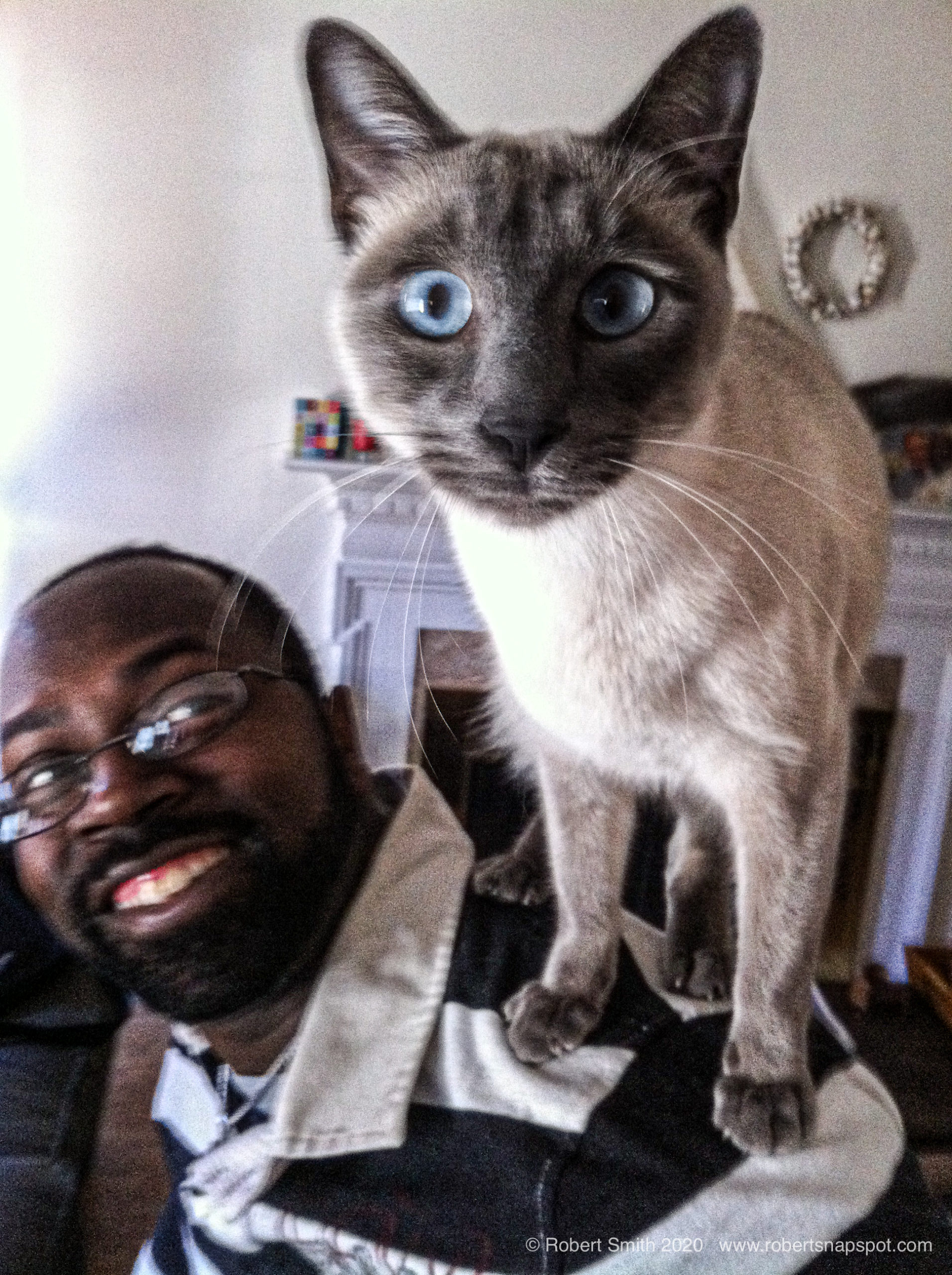 Throwback Thursday: Benny as a kitten! – Robert's Snap Spot