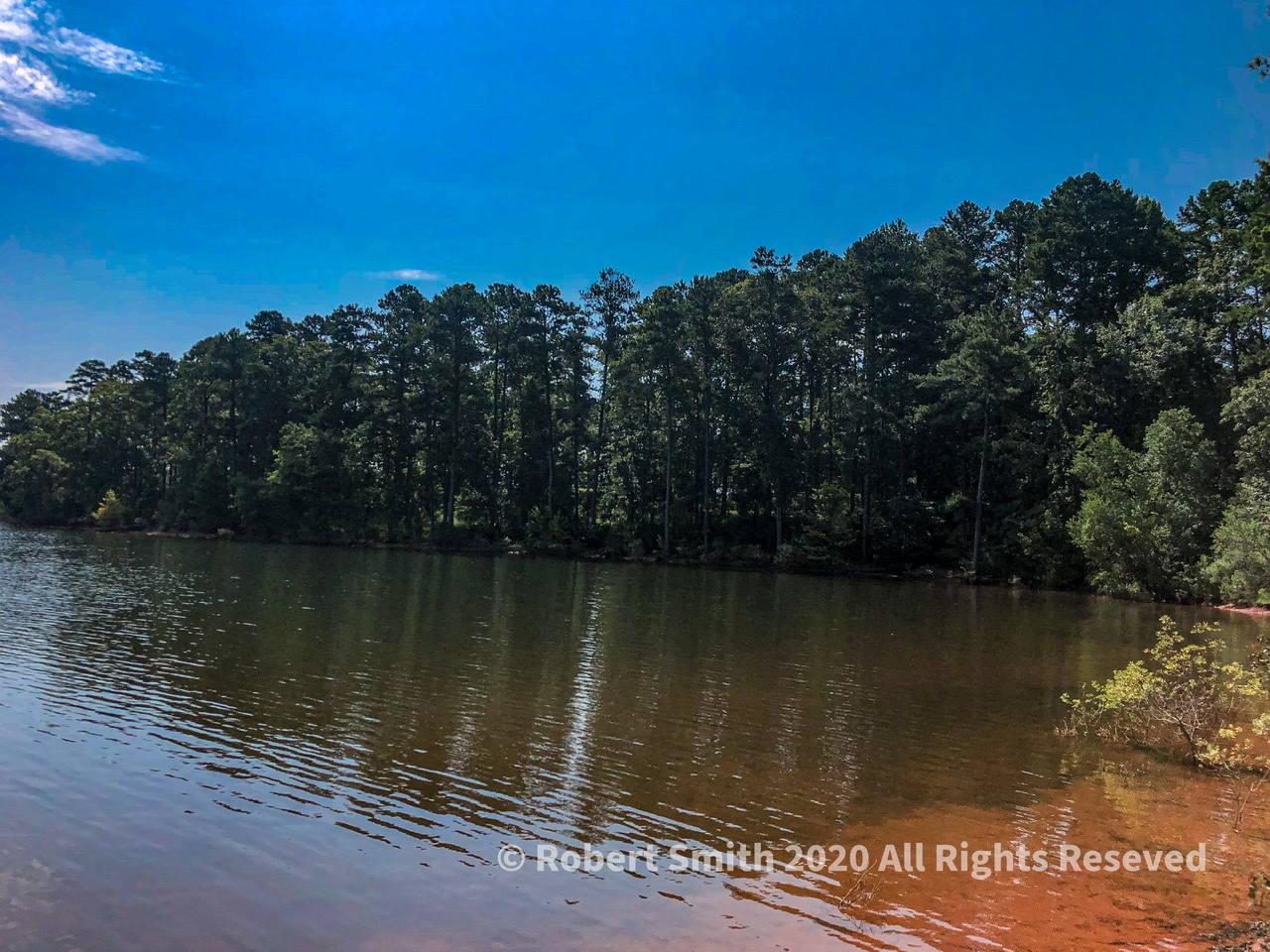 Wordless Wednesday: Social Distancing at Mistletoe State Park – Robert ...