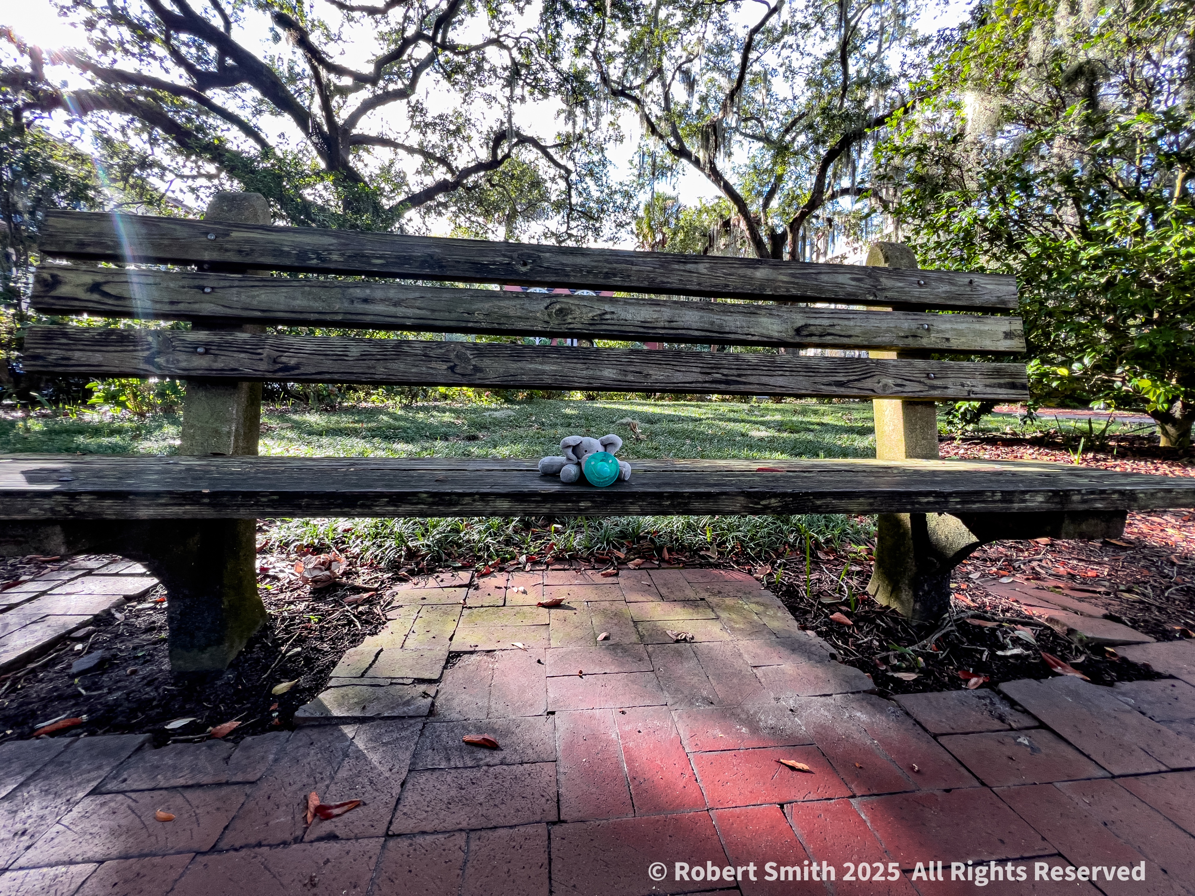 Forgotten Binky in Monterey Square – Robert's Snap Spot
