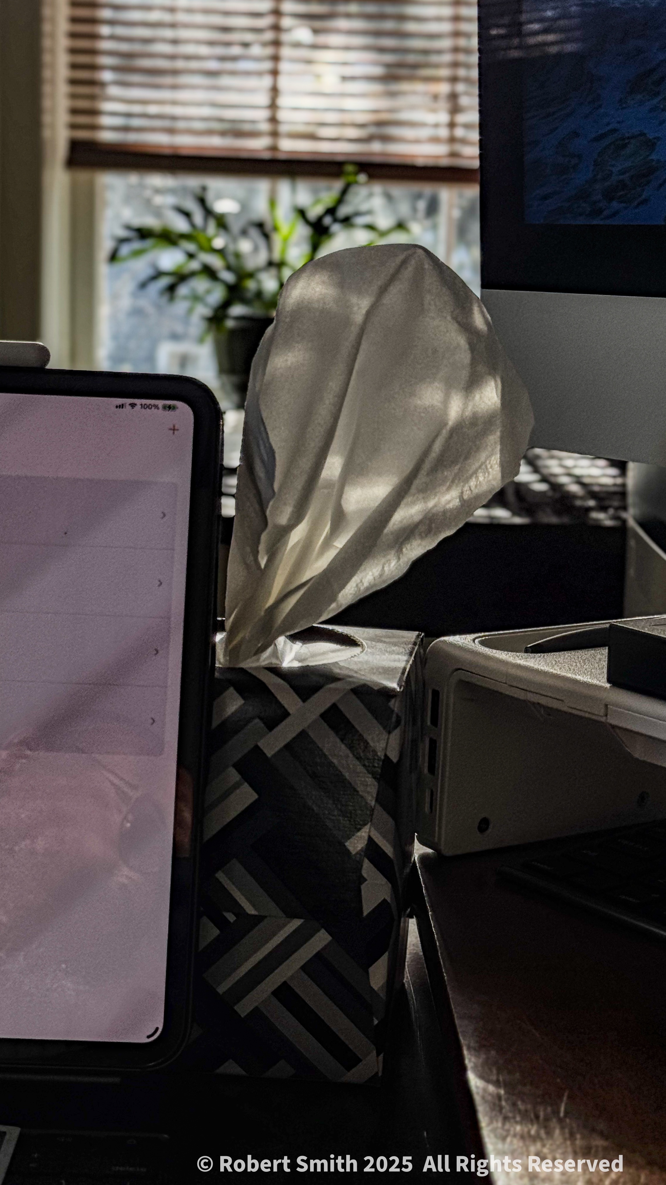 Ordinary Morning – Robert's Snap Spot