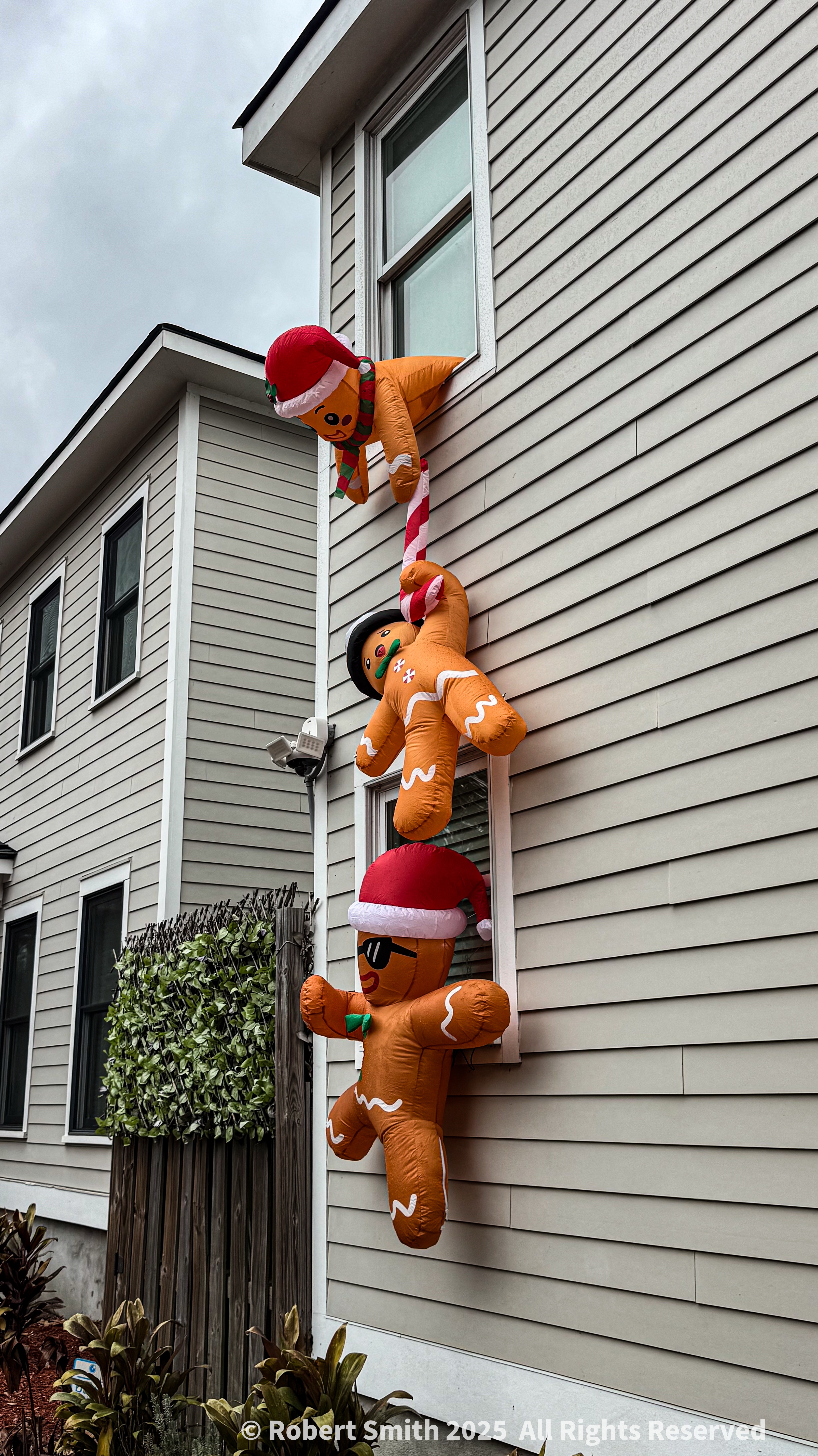 The Great Gingerbread Escape: Christmas 2025 Adventures